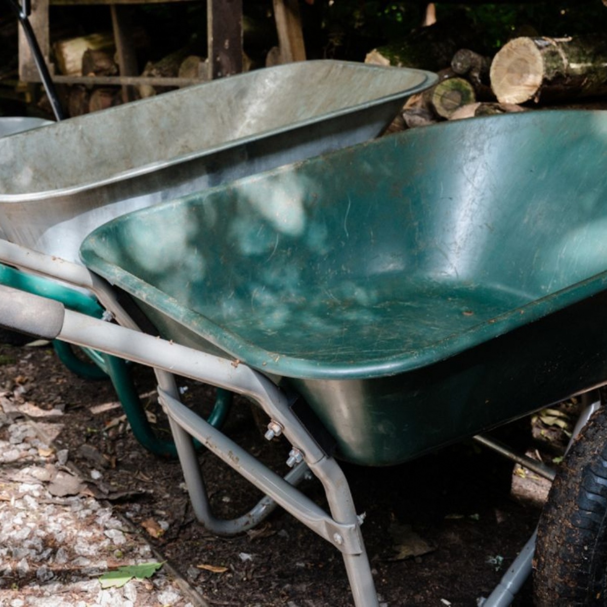 Aurora Woodlands School Achieves Level 2 in RHS School Gardening Awards ...